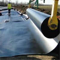 China Black Plastic Sheet Pond Liner Waterproofing HDPE Geomembrane 0.2mm/0.5mm/1.0mm/2.0mm for sale