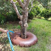 China High Surface Hardness Water Drip Tree Watering Ring Bag for Slow Releasement Garden for sale
