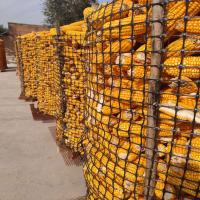 China PP Biaxial Geogrid 40kn for Road Reinforcement Elite Sale Black Training Road Geo Grids for sale