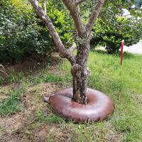 China 15 Gallon PVC Tree Watering Bag Portable and Durable for Slow Release Drip Irrigation for sale
