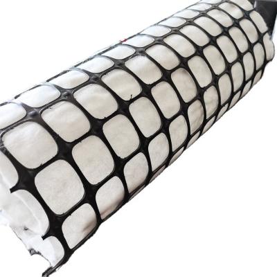 China PP Plastic Geogrid Composite Pet Nonwoven Geotextile for Bridge and Tunnel Reinforcement for sale