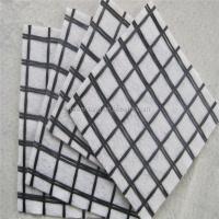 China PP Plastic Geogrid Composite Pet Nonwoven Geotextile for Bridge and Tunnel Reinforcement for sale