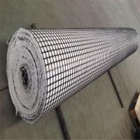 China PP Plastic Geogrid Composite Pet Nonwoven Geotextile for Bridge and Tunnel Reinforcement for sale