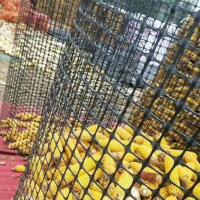 China 1-6m Width Biaxial PP Polypropylene Geogrid Composite Nonwoven Geotextile for Road Base for sale