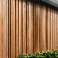China WPC Great Wall Panel 219mm Gen 1 Waterproof Exterior Wall Cladding 8 Colors for sale