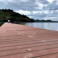 China Anti Termite Exterior WPC Wall Panel Waterproof Decorative Wall Panels for sale