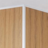 China PVC Wall Panel Trims & Accessories Decorative Lines Corner Trim Skirting Board for sale