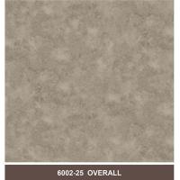 China Stone Plastic Composite Wall Panel SPC Wall Board Multiple Colors Available for sale