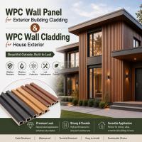 China Waterproof Anti Termite WPC Wall Panels and Exterior Cladding 180x24mm for Privacy Screens for sale