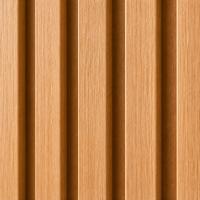 China Waterproof Anti Termite WPC Wall Panels and Exterior Cladding 180x24mm for Privacy Screens for sale
