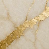 China Gold Transfer Film Marble SPC Wall Panels Ivory Metal Vein Waterproof Wall Cladding for sale