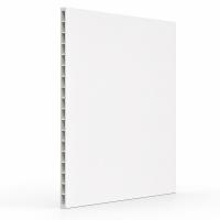 China 9mm Waterproof PVC Wall Panel 500mm Wide Mold Resistant for Rental Bathroom Kitchen Remodel for sale