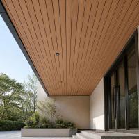 China WPC Exterior Soffit Panel 155x20mm Outdoor Ceiling Cladding Waterproof Anti Termite for sale