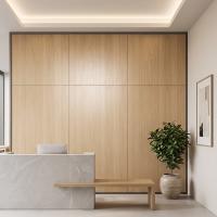 China Light Oak SPC Wall Panels Office Fit Out Waterproof Interior Feature Wall Cladding for sale