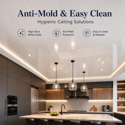 China High Gloss White PVC Ceiling Panels - Moisture Resistant Anti-Mold Cladding for sale