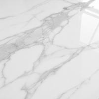 China Carrara Marble Finish PVC Wall Panel - Waterproof Bathroom & Shower Cladding for sale