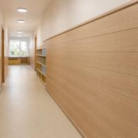 China WPC Interior Wall Panel for Kindergarten and Play School Protective Wall Cladding for sale