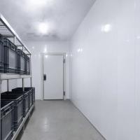 China PVC Wall Panel for Cold Storage and Food Processing Room Moisture Proof Cladding for sale