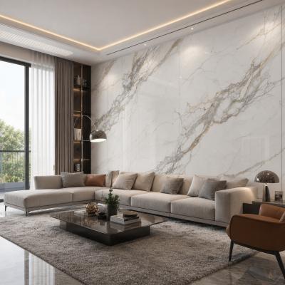 China SPC Wall Panel Marble Pattern Accent Wall Board Anti Scratch for Living Roo  m Interiors for sale