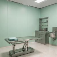 China 600mm Wide Soft Mint Green PVC Wall Panel for Pet Store and Veterinary Clinic Wall Cladding for sale