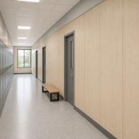 China 600mm Wide Pale Birch Wood Grain PVC Wall Panel for School Classroom and Corridor Cladding for sale