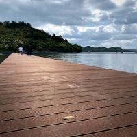 China WPC Fire Retardant Soundproof Thermal Insulation Wall Panel Anti Corrosion for Exterior Cladding for sale