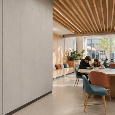 China Durable Impact Resistant SPC Wall Panels for Schools & Educational Facilities for sale