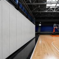 China Durable Impact Resistant SPC Wall Panels for Gyms & Sports Facilities Cladding for sale