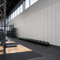 China Durable Impact Resistant SPC Wall Panels for Gyms & Sports Facilities Cladding for sale