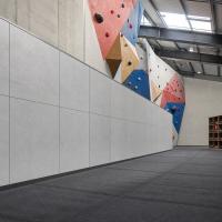 China Durable Impact Resistant SPC Wall Panels for Gyms & Sports Facilities Cladding for sale