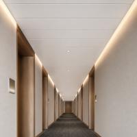 China Moisture-Proof PVC Ceiling Panel 250mm Waterproof Hollow Interior Decoration Board for sale