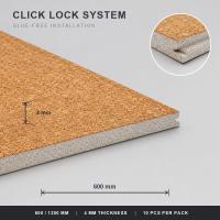China Cork Texture SPC Wall Panels Waterproof Interior Wall Cladding for sale