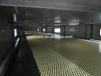 China Steel Belt Cooling Wax Pellet Machine PE Trimellitic Anhydride Salt Stearate for sale