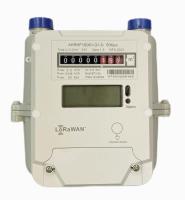 China STS AMR Prepaid LORAWAN Gas Meter for sale