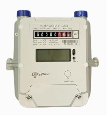 China STS AMR Prepaid LORAWAN Gas Meter for sale