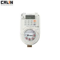 China Vertical Type Water Meter STS Standard Class B Accuracy Brass Body IP67 Water Proof for Tanzania for sale