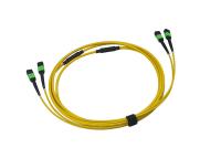 China 24core Mtp Mpo Fiber Patch Cable 3.0mm Single Jacket Or 4.6mm Double Jacket for sale