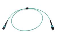 China MTP PC- MTP PC Truck Patch Cable for Date center  12core  OM3 OM4 Aqua 3.0mm single jacket or 4.6mm double jacket for sale