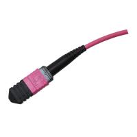 China MPO / MTP Telecom Connectivity Fiber Optic Connector Kit For Data Center for sale