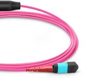 China Customized MTP MPO OM4 Multimode 24 Fiber Optic Cable Conversion Harness for sale