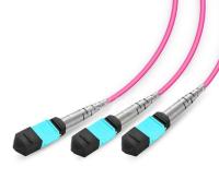 China Customized MTP MPO OM4 Multimode 24 Fiber Optic Cable Conversion Harness for sale