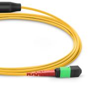 China Conversion Harness OS2 MTP MPO Fiber Cable 24 Fibers Single Mode for sale