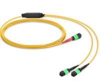 China Conversion Harness OS2 MTP MPO Fiber Cable 24 Fibers Single Mode for sale
