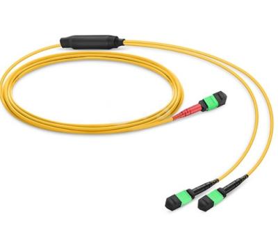 China Conversion Harness OS2 MTP MPO Fiber Cable 24 Fibers Single Mode for sale