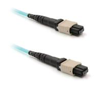 China MPO- MPO Patch Cable 12 core Fiber Cable MTP- MTP OM3 OM4 Multimode for Data center for sale