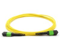 China MTP 24 Strand Single Mode Fiber Cable , Male To Female Optical Breakout Cable for sale