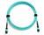China MTP MPO OM3 100gb Fiber Cable 24 Fiber Multimode For Data Center Network for sale