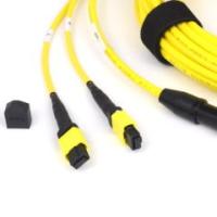 China 24 Core Singlemode MTP MPO Fiber Cable IEEE Standard Custom Length for sale