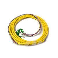 China Breakout Lc Fiber Pigtail , Ceramic Ferrule 12 Fiber Pigtail Assembly for sale