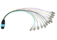 China 8 - 24 Core LSZH Jacket MPO Patch Cord With Male And Female Connector for sale